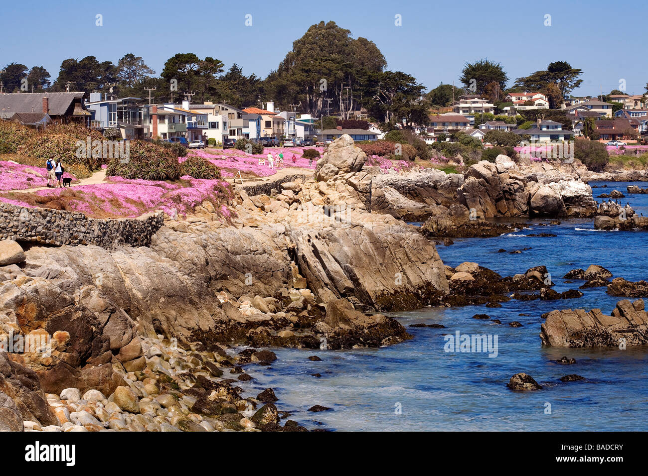United States, California, Monterey Peninsula, Pacific Grove, Ocean ...