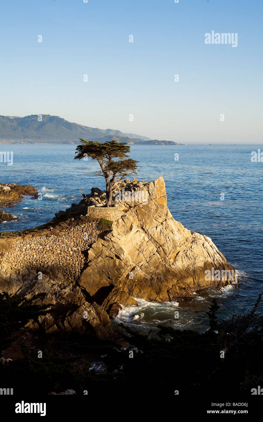 United States, California, Monterey Peninsula, Pebble Beach, 17 Mile ...