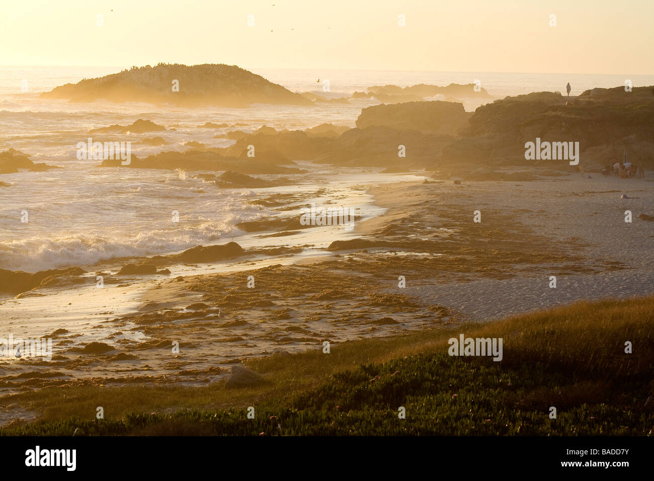 United States, California, Monterey Peninsula, Pebble Beach, 17 Mile ...