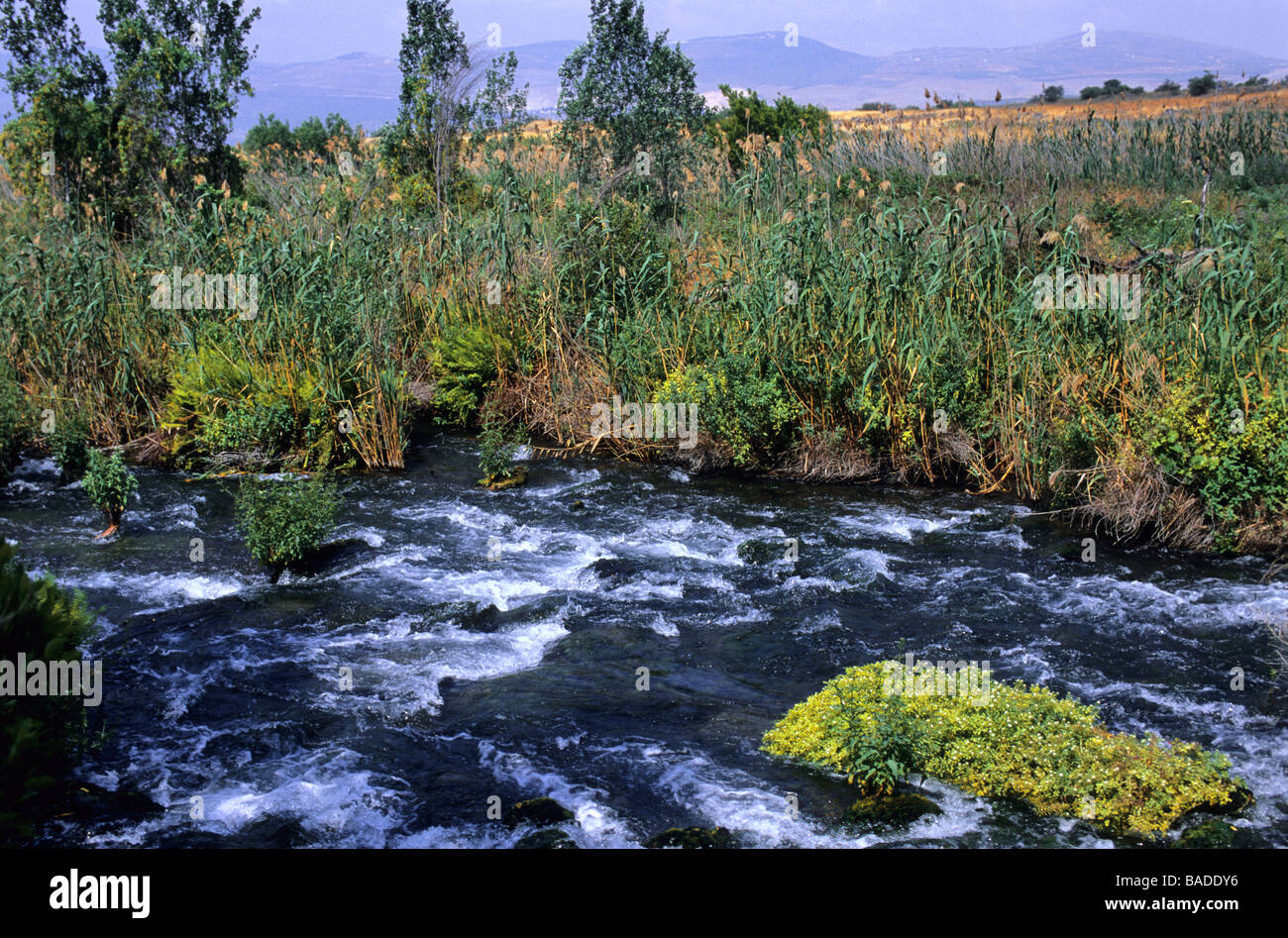 Israel, North District, Galilee, Kiryat Shmona, the river Dan (one of ...