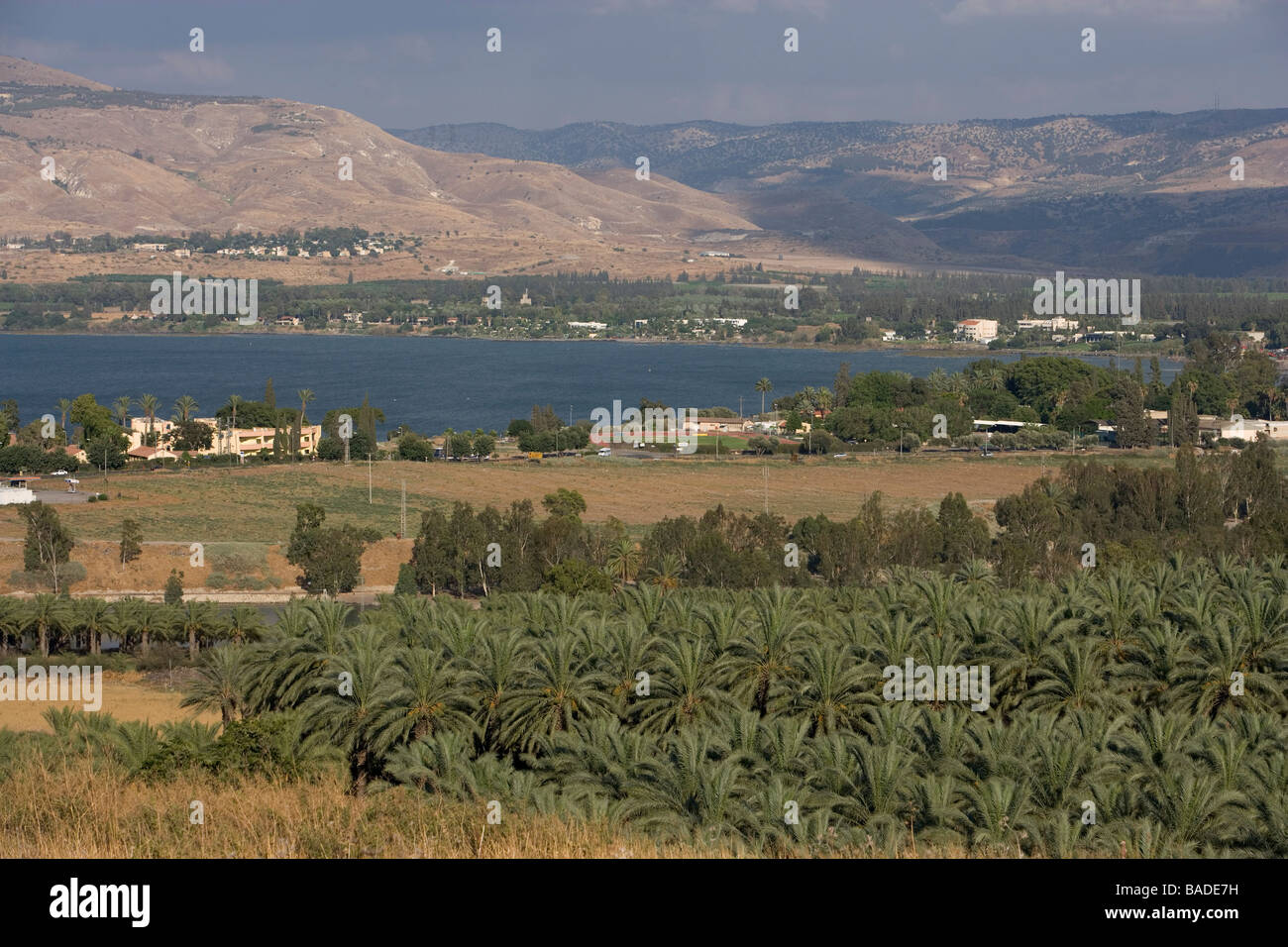 Israel, Northern District, Galilee, Tiberias, Lake Tiberias edges and ...