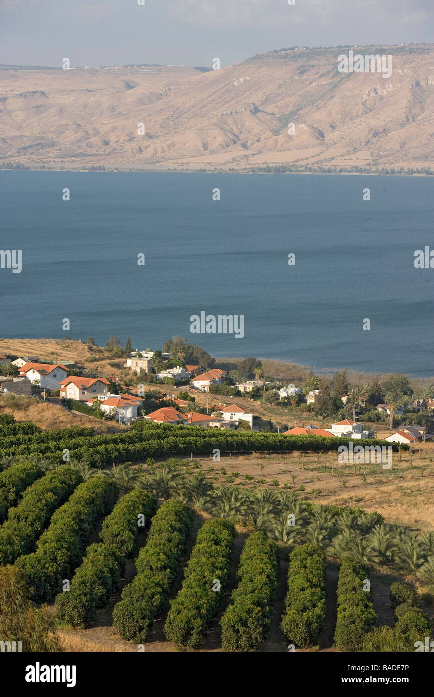 Israel, Northern District, Galilee, Tiberias, cultures on the shores of ...