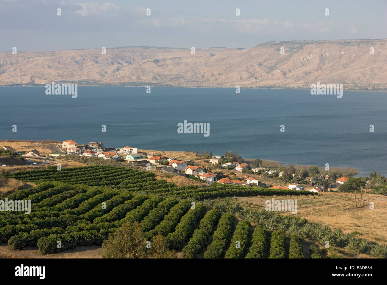 Israel, Northern District, Galilee, Tiberias, Lake Tiberias edges and ...