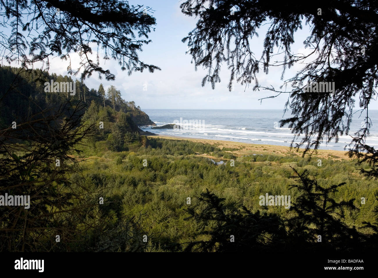 Pacific Ocean View - Cape Disappointment State Park, Washington Stock ...