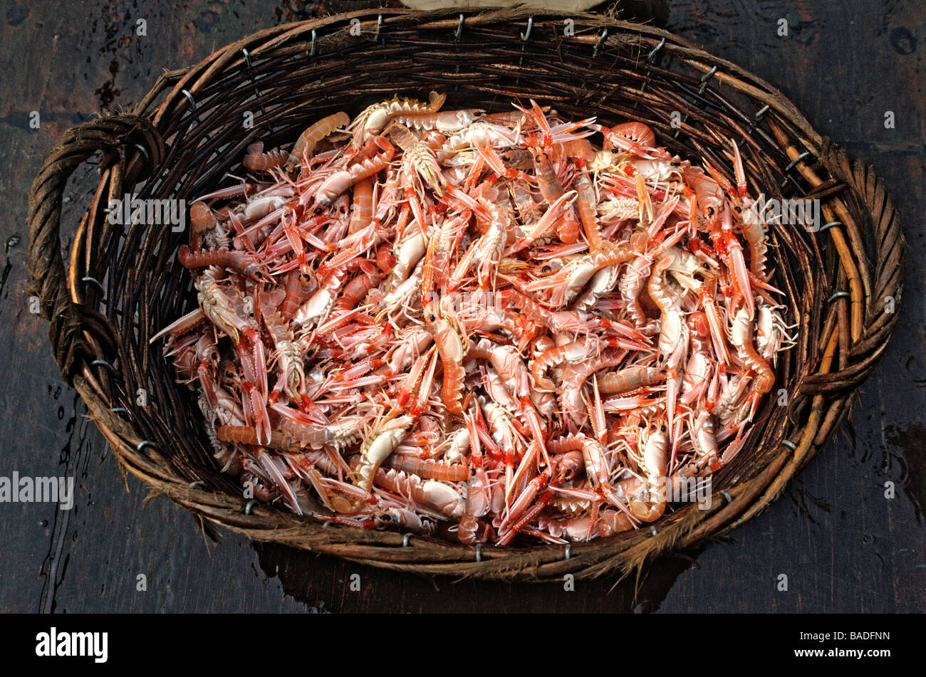 Scampi basket hi-res stock photography and images - Alamy