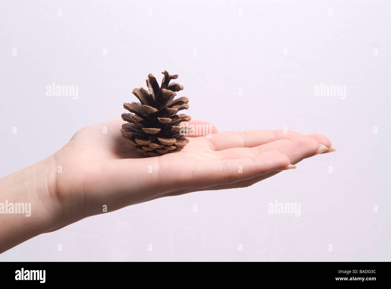 Womans hands cutout hi-res stock photography and images - Alamy