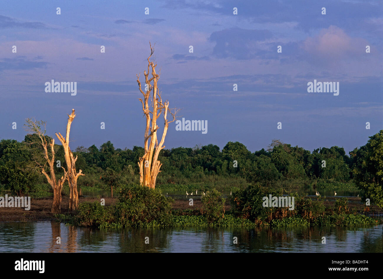Kompong chhnang province hi-res stock photography and images - Alamy