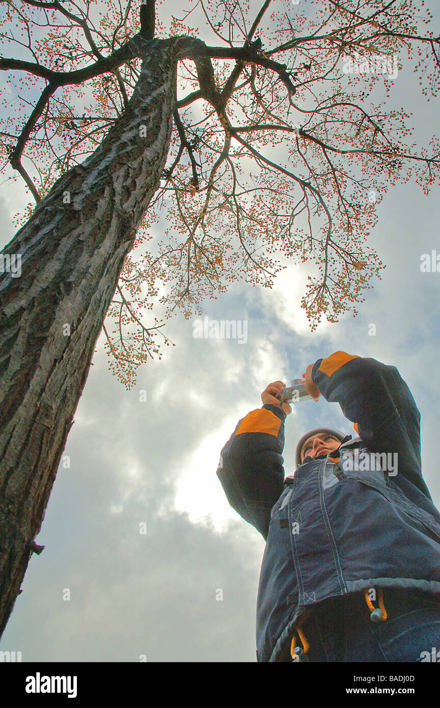 Catching the leaves Stock Photo - Alamy