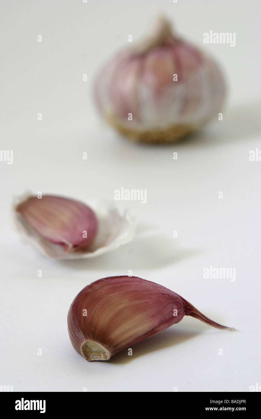 Garlic tooth hi-res stock photography and images - Alamy