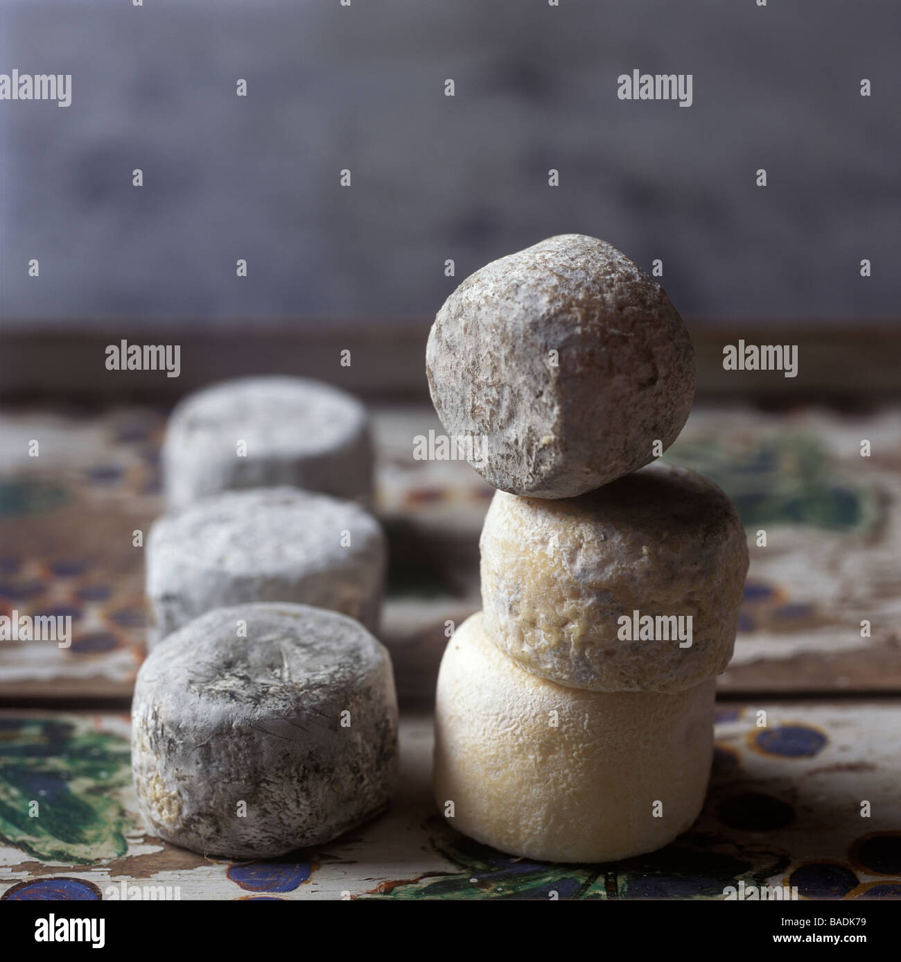 France, Cher, Crottin de Chavignol AOC cheese (design by Valerie Lhomme ...