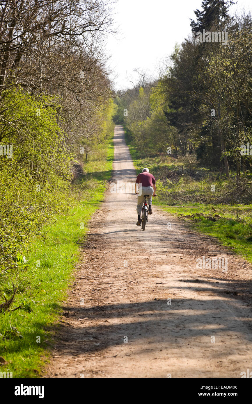 Long path hi-res stock photography and images - Alamy