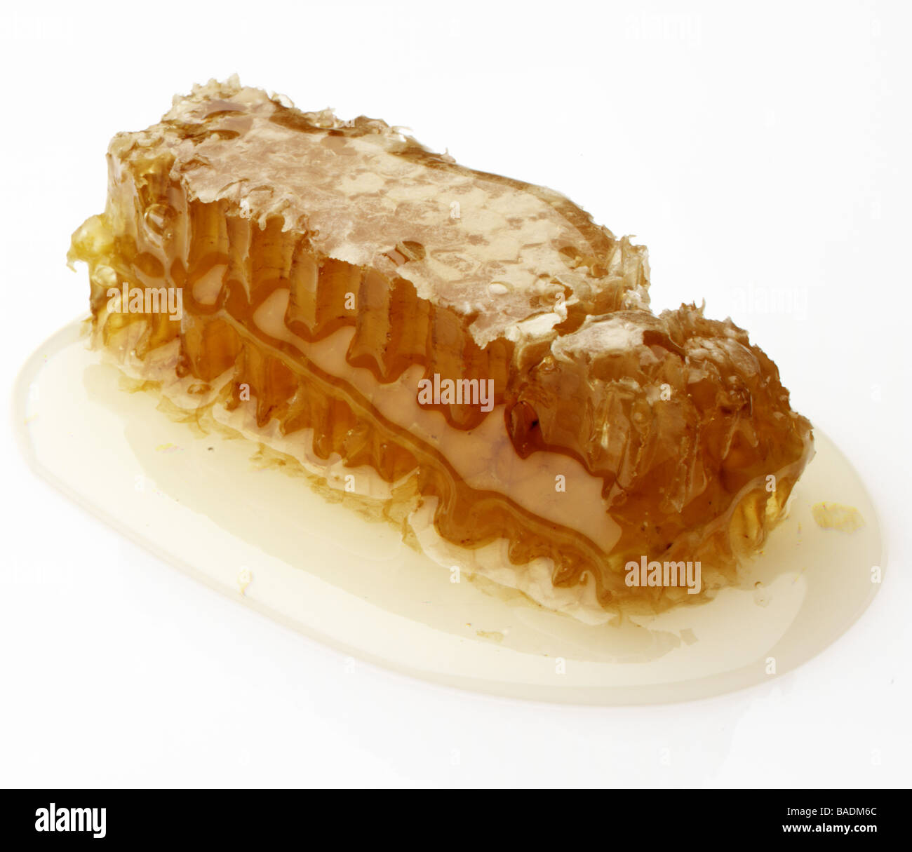 Honeybees nectar comb hi-res stock photography and images - Alamy