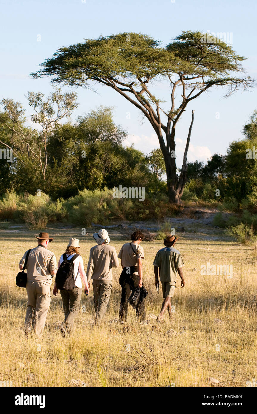 Botswana, North-west district, Okavango delta, walking safari Stock ...