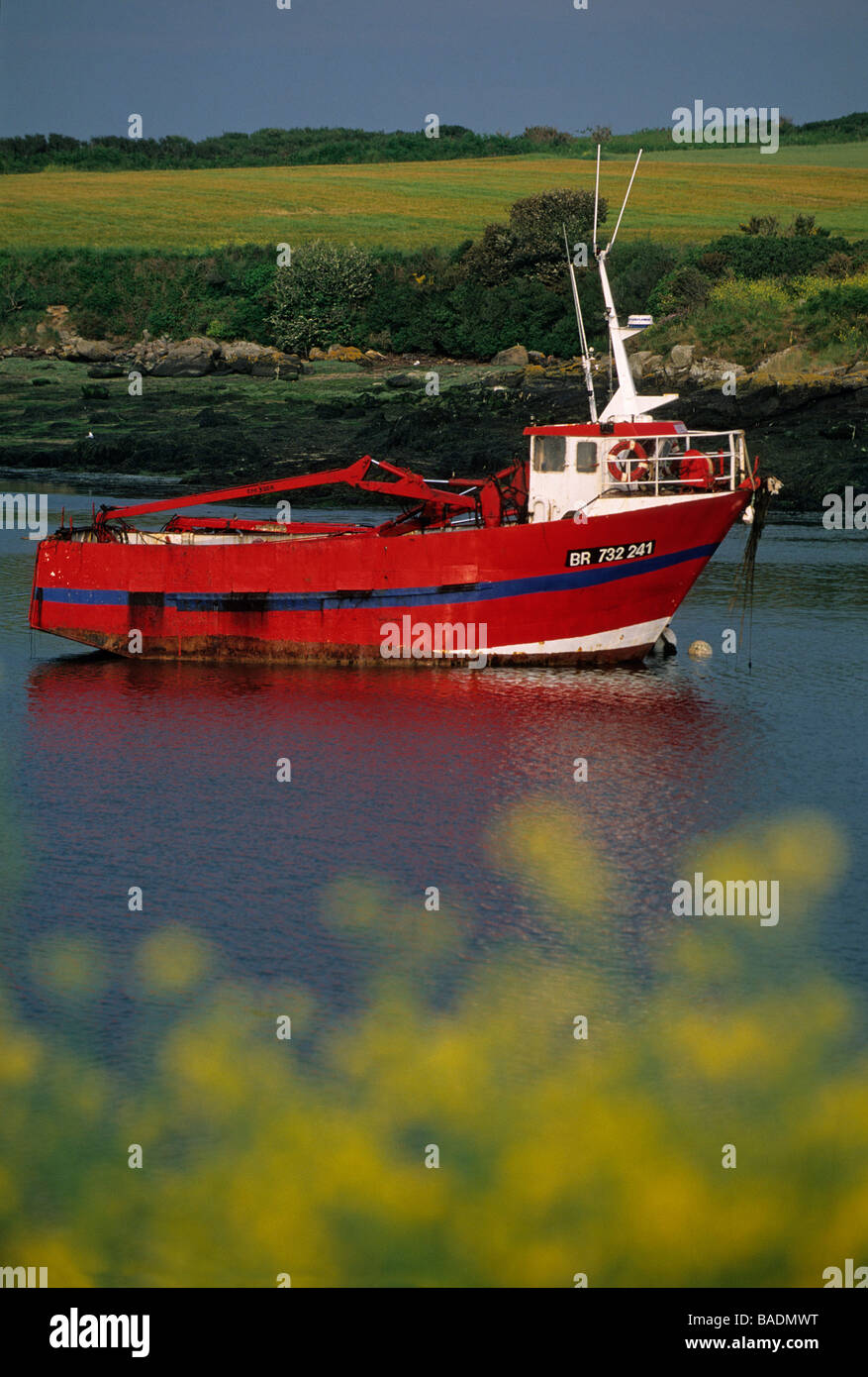 France, Finistere, Lanildut, important sea-kelp production, sea-kelp ...