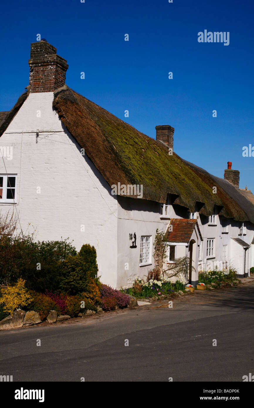 West knighton hi-res stock photography and images - Alamy