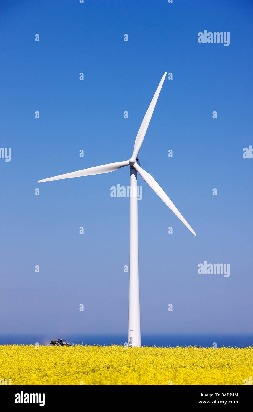 France, Seine Maritime, Pays de Caux, Cote d'Albatre, Fecamp, wind ...