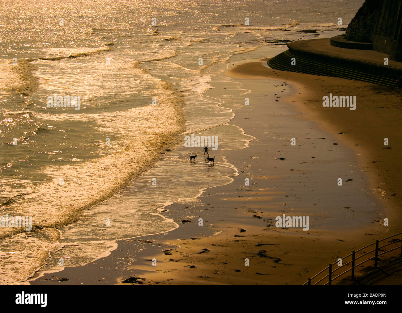 My golden days hi-res stock photography and images - Alamy