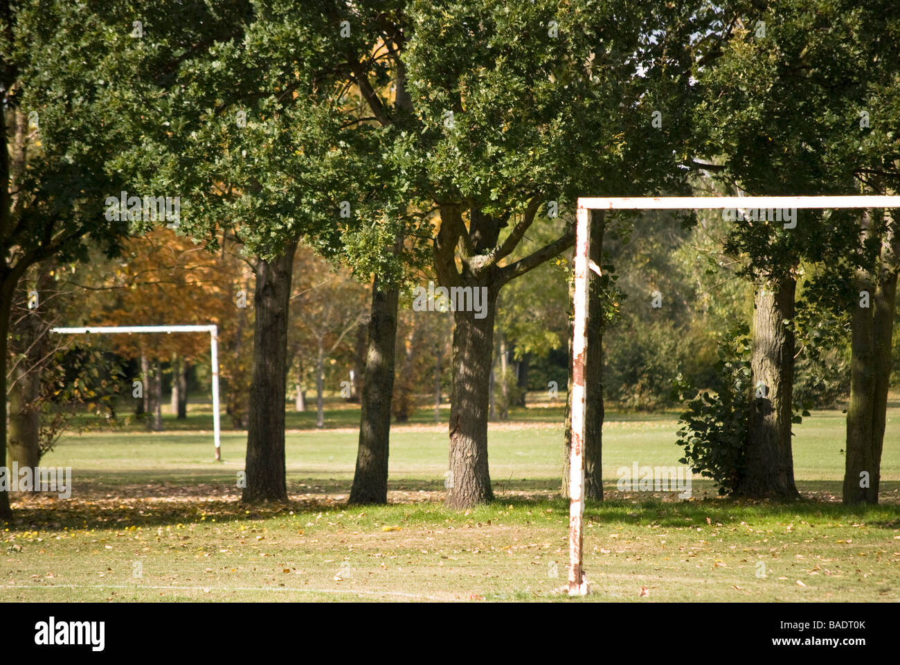 Football goals with trees growing in between Stock Photo - Alamy
