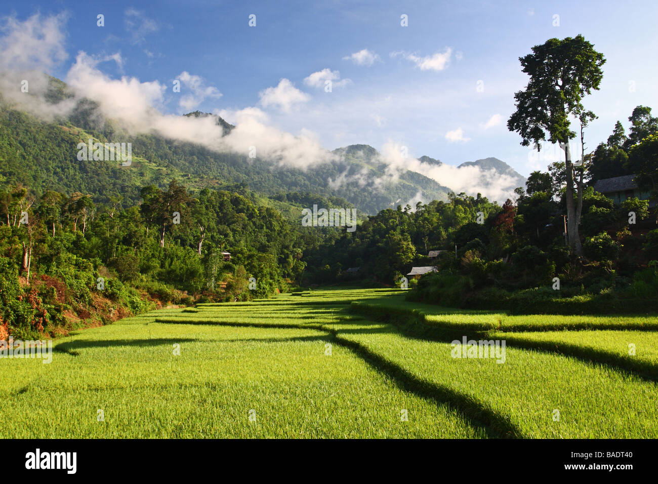 Beautiful landscape with green mountains and rice fileds around Mai ...