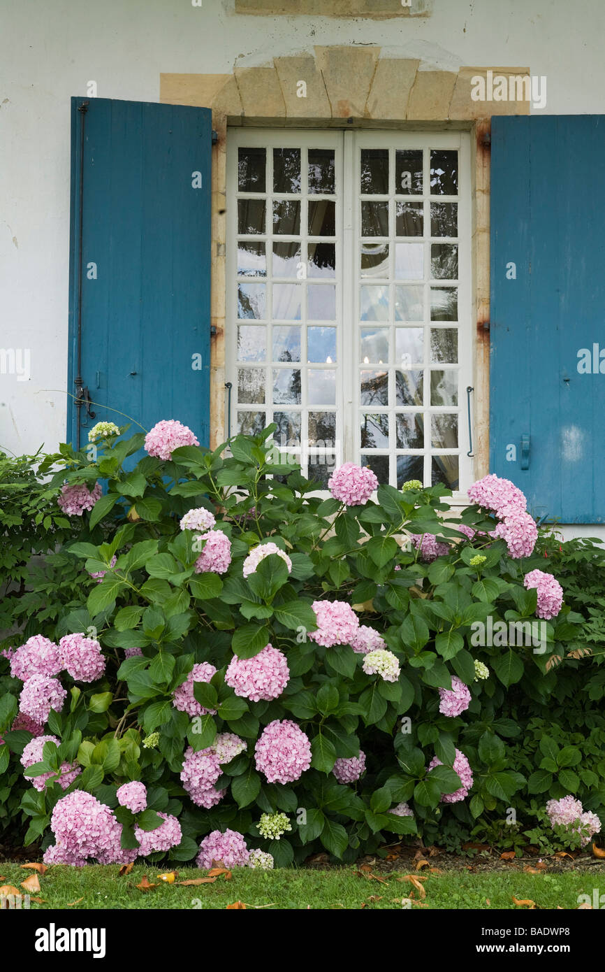 France, Landes, Chalosse, Chateau de Gaujacq, detailed picture of a ...