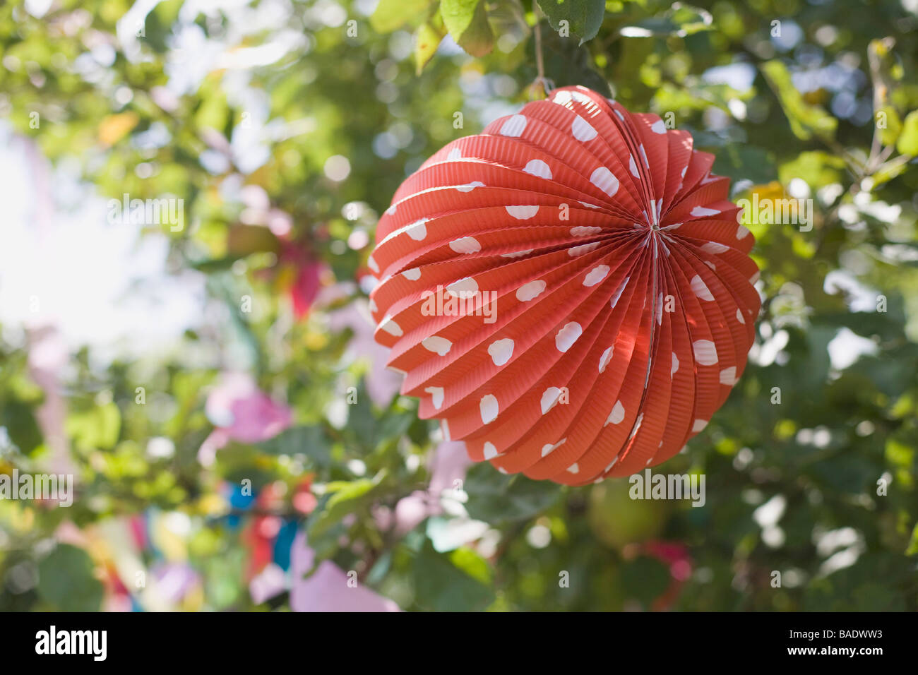 Paper Lantern Decorations at Birthday Party Stock Photo - Alamy