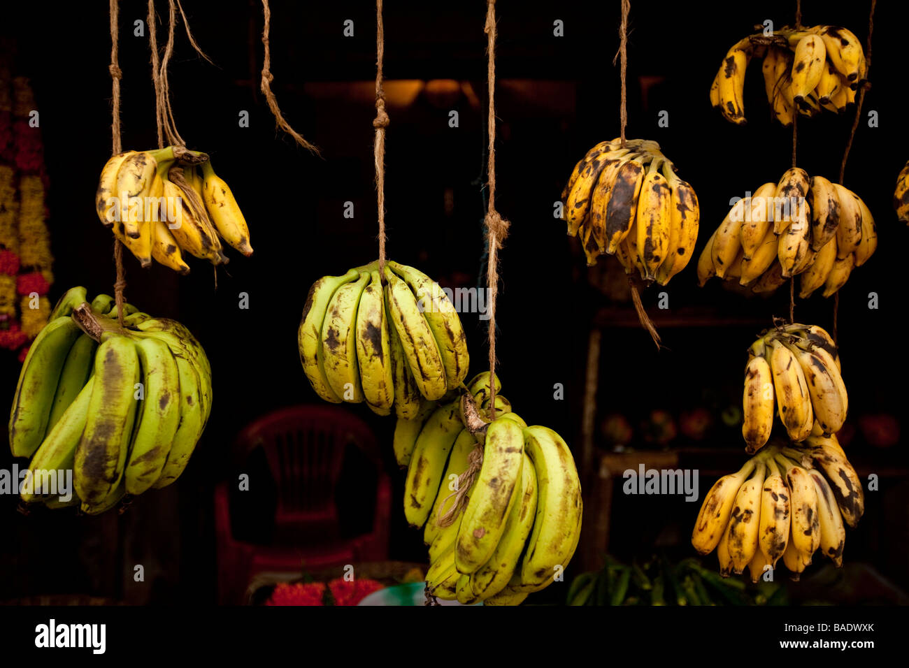 India Shop Fruit High Resolution Stock Photography and Images - Alamy
