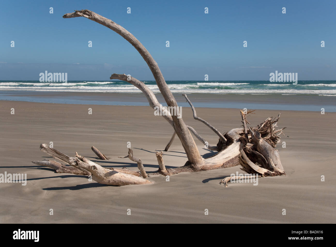 Farewell Spit Nature Reserve New Zealand Stock Photo - Alamy