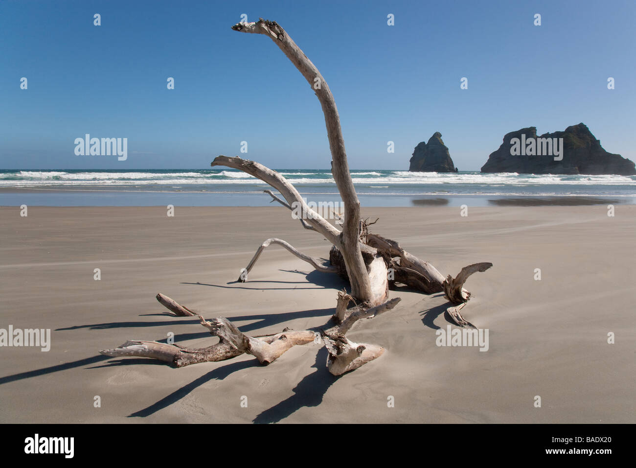 Farewell spit in new hi-res stock photography and images - Alamy