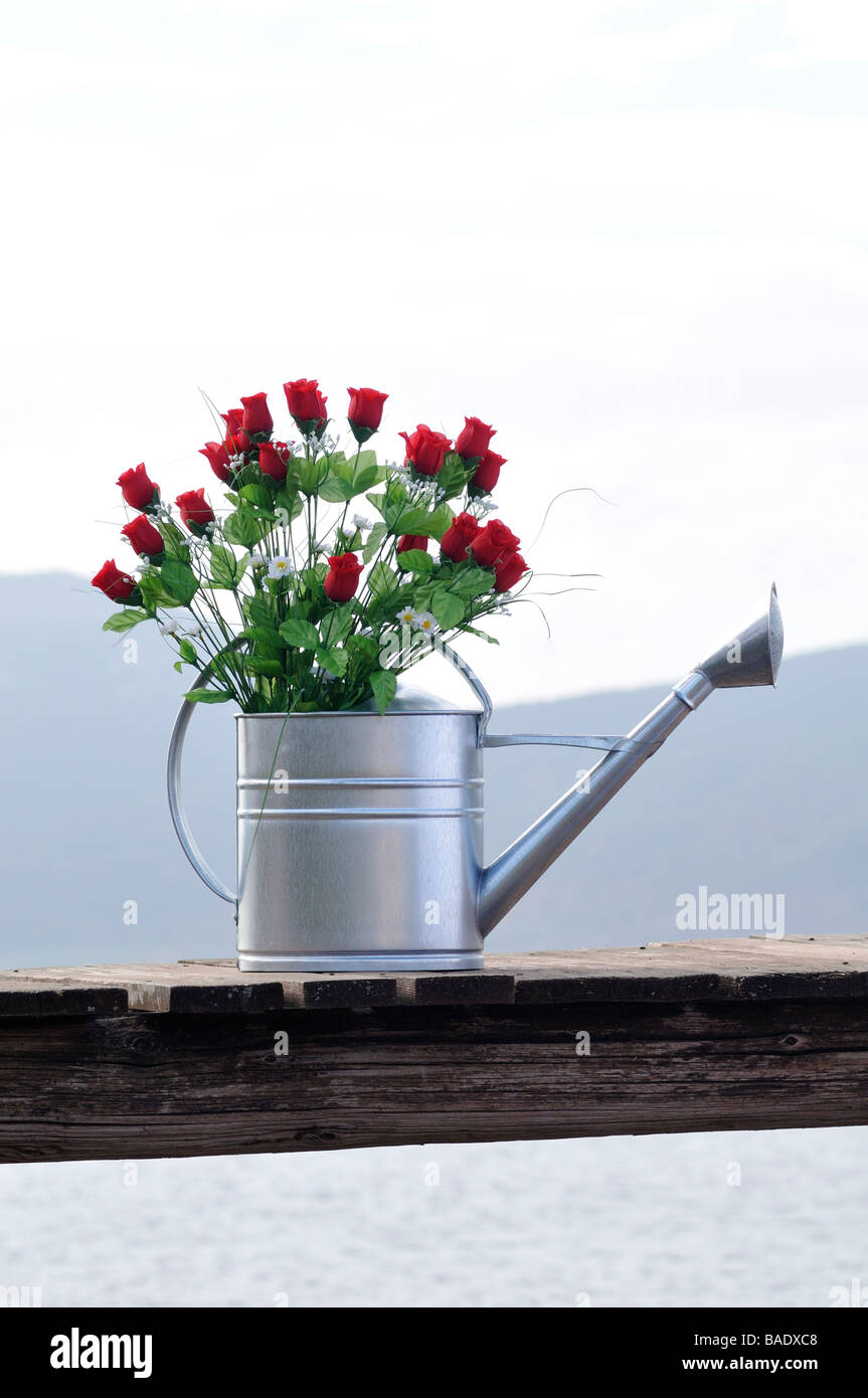 Water dock flower hi-res stock photography and images - Alamy