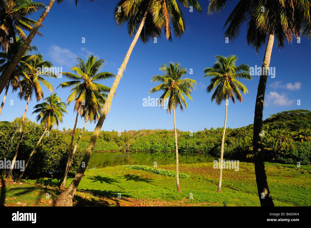 Atiu island hi-res stock photography and images - Alamy