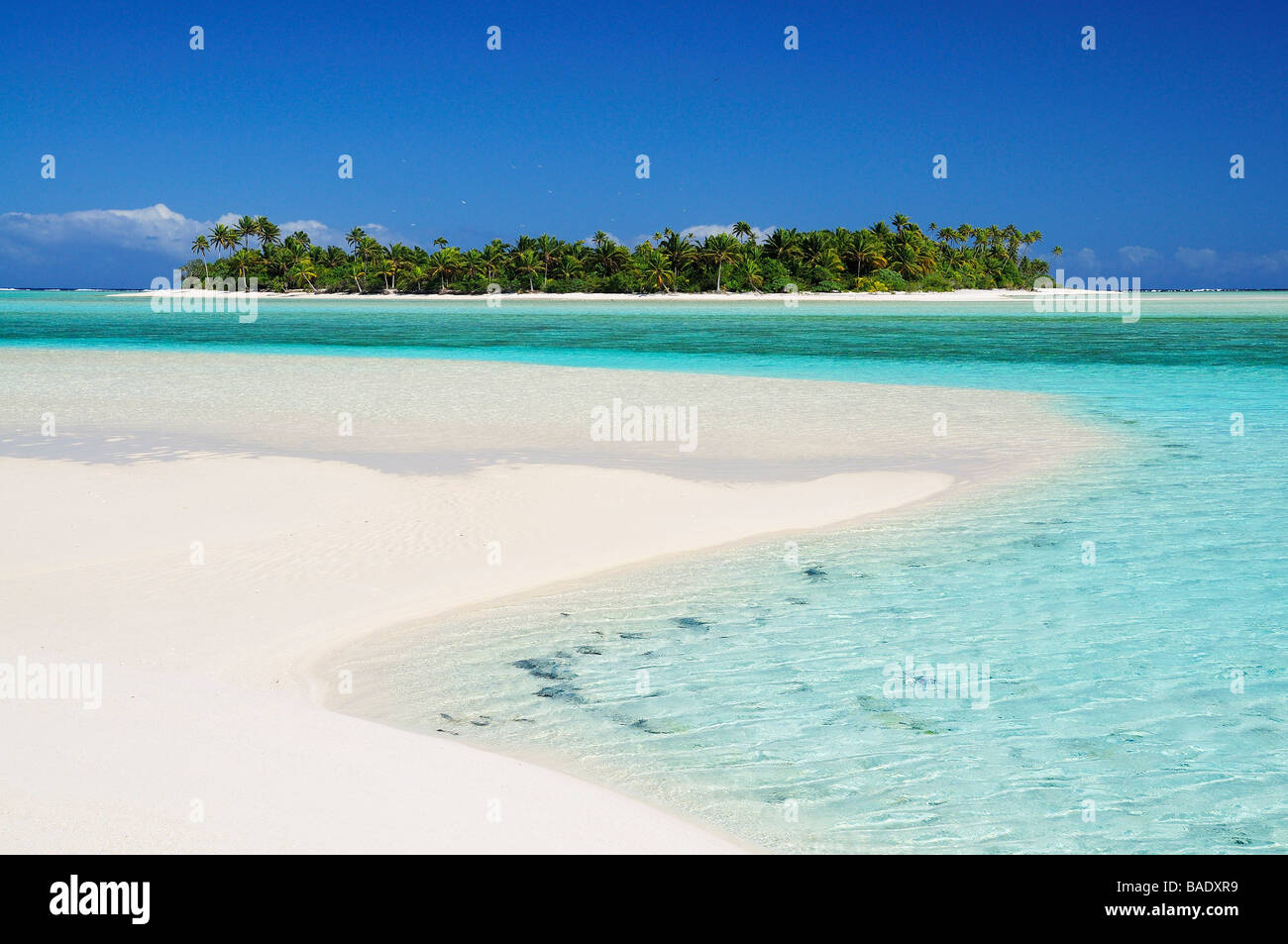 Cook islands people hi-res stock photography and images - Alamy