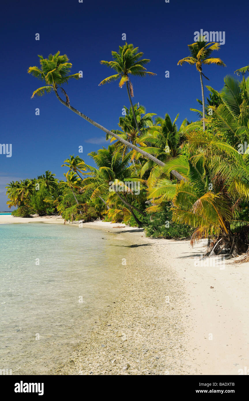 Beach, One Foot Island, Aitutaki Lagoon, Aitutaki, Cook Islands Stock ...