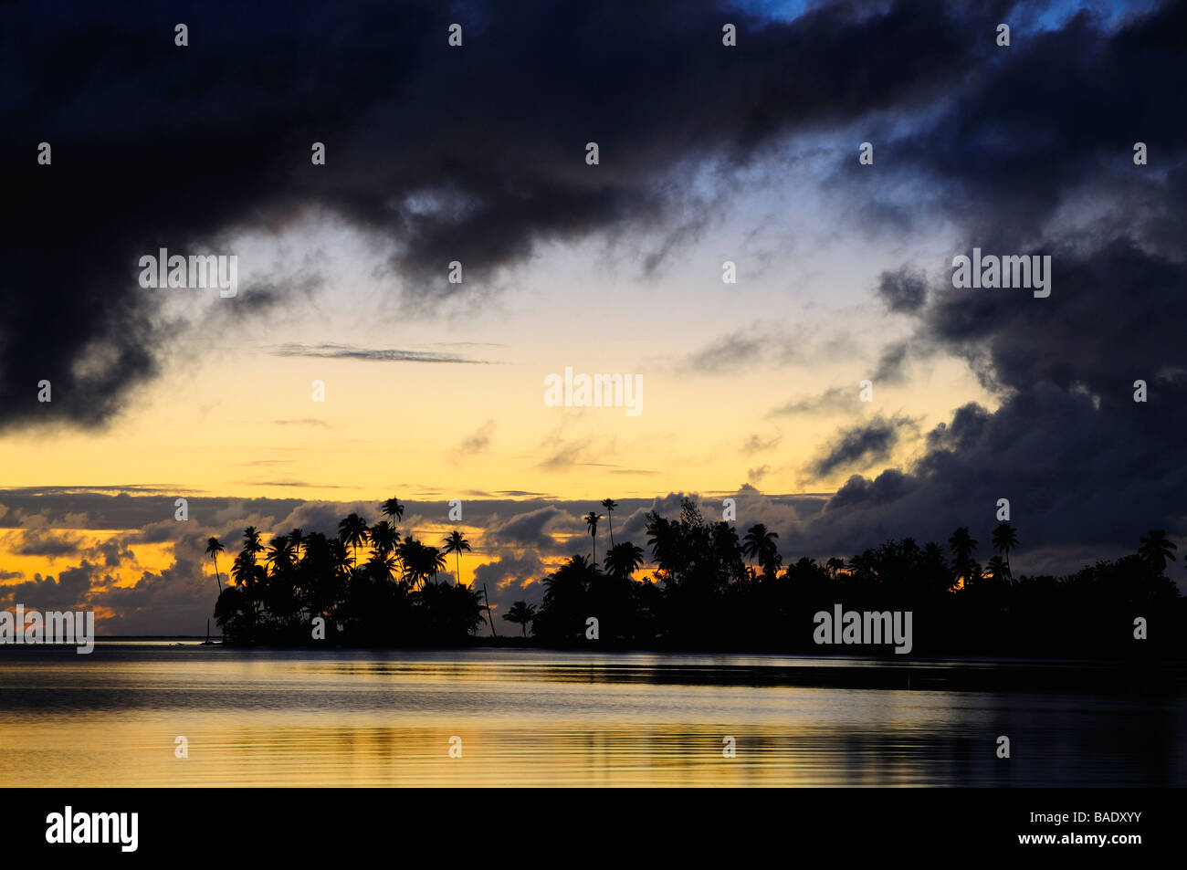 Silhouettes of Trees at Sunrise, Raiatea, French Polynesia Stock Photo ...