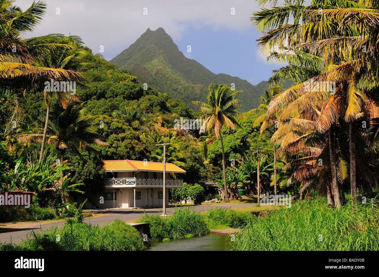 Road by Mountain, Avarua, Rarotonga, Cook Islands, South Pacific Stock ...