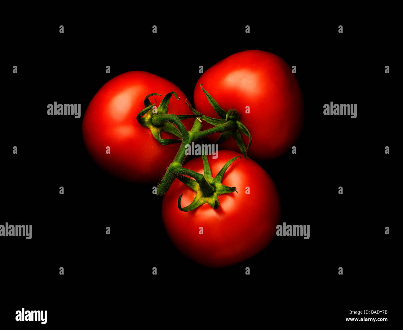 a color colour picture of 3 juicy red tomatoes against a solid black ...