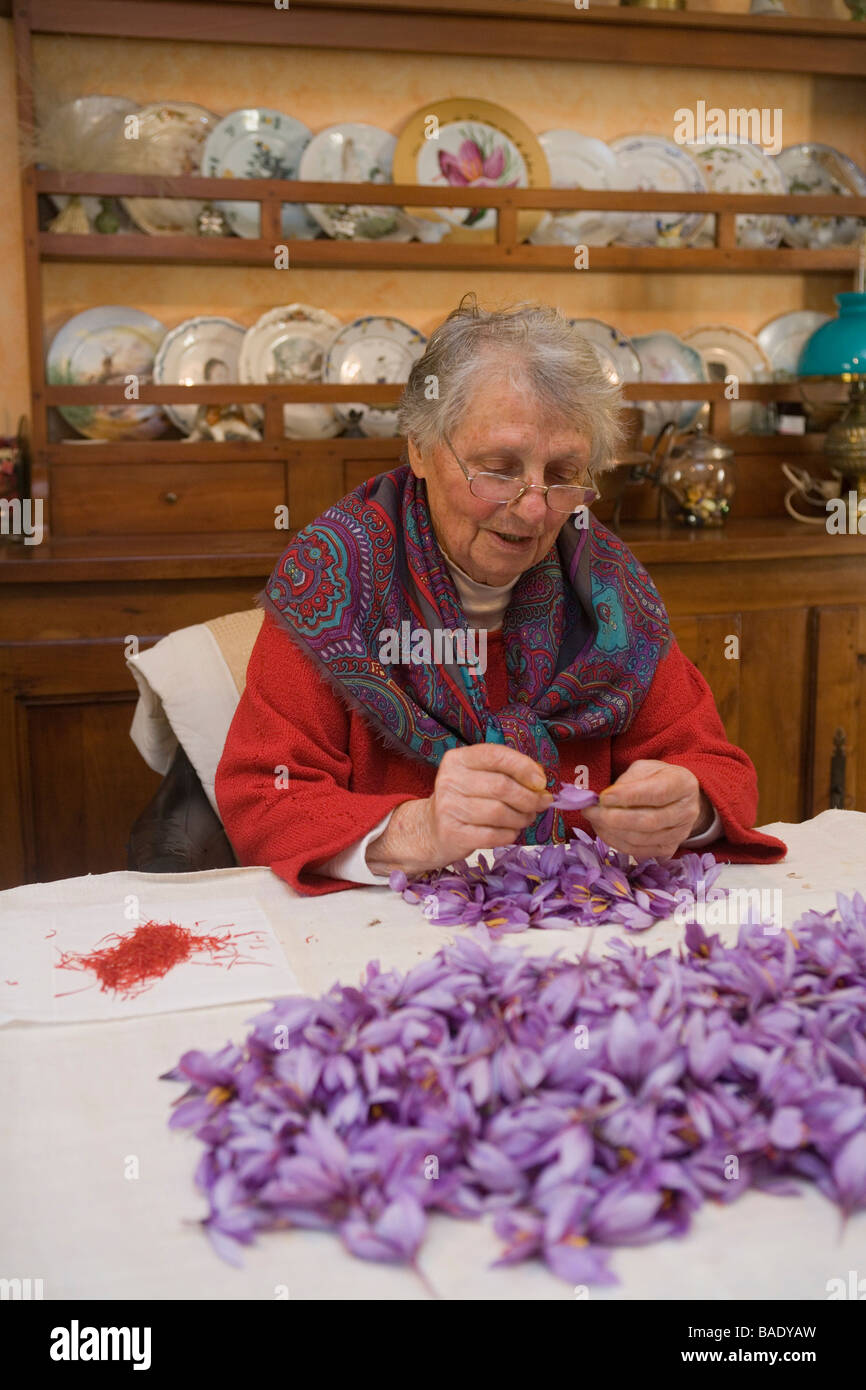 France, Lot, Larnagol, Madame Ange pruning flowers by taking off their ...