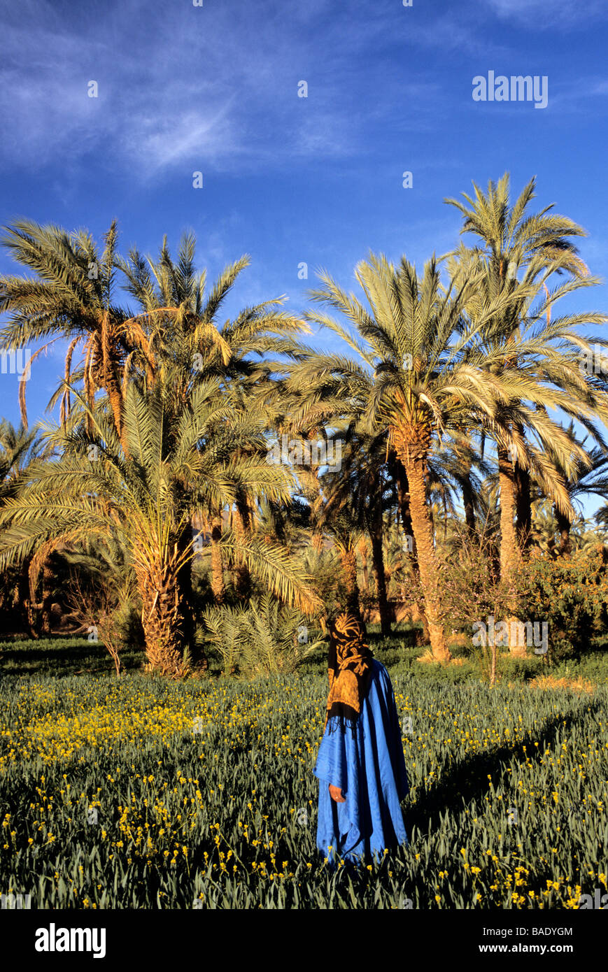 Morocco, Anti Atlas, Draa Valley, Agdz, character in a palm grove Stock ...
