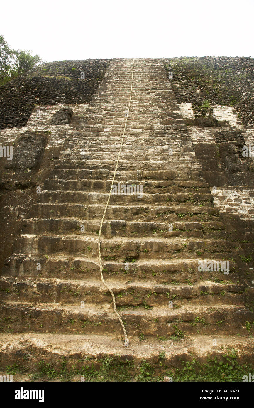 Mayan Temple Stairs, Belize Stock Photo - Alamy
