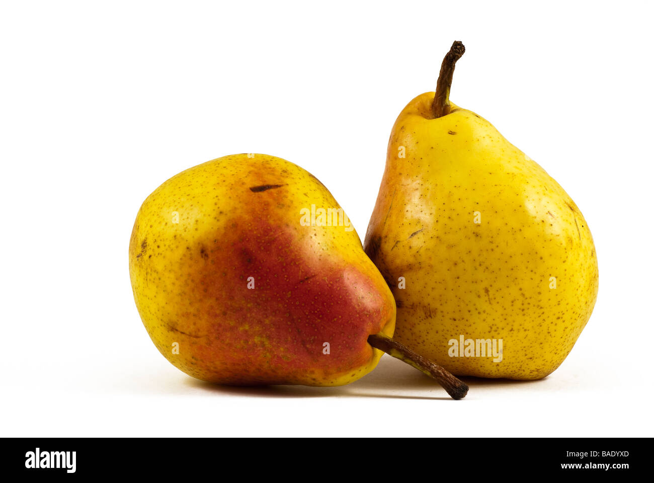 Two pears on a white background Stock Photo - Alamy