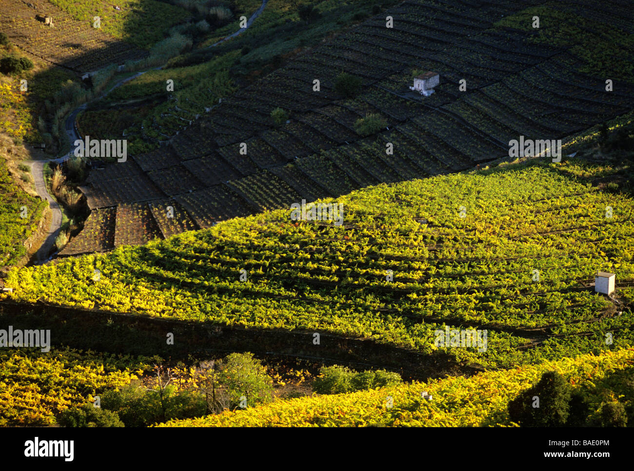 Banyuls aoc hi-res stock photography and images - Alamy