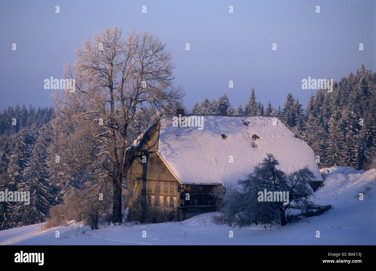 Hinterzarten in black forest in hi-res stock photography and images - Alamy