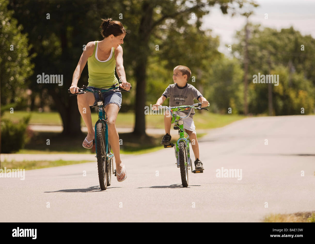 50 Year Life Cycle High Resolution Stock Photography and Images - Alamy