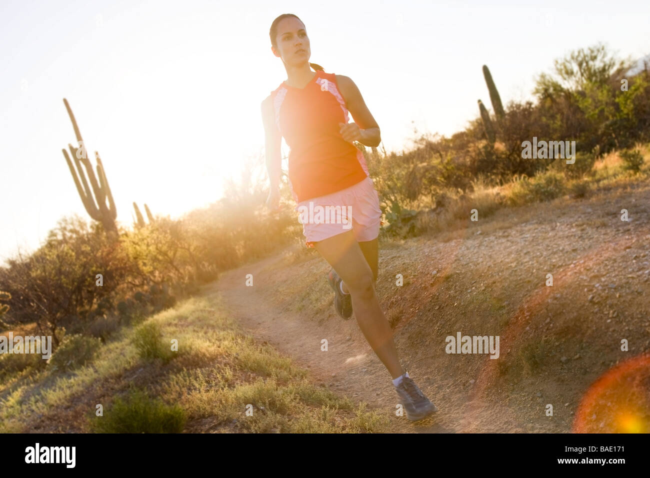 Woman Running on Desert Trail, Saguaro National Park, Arizona, USA ...