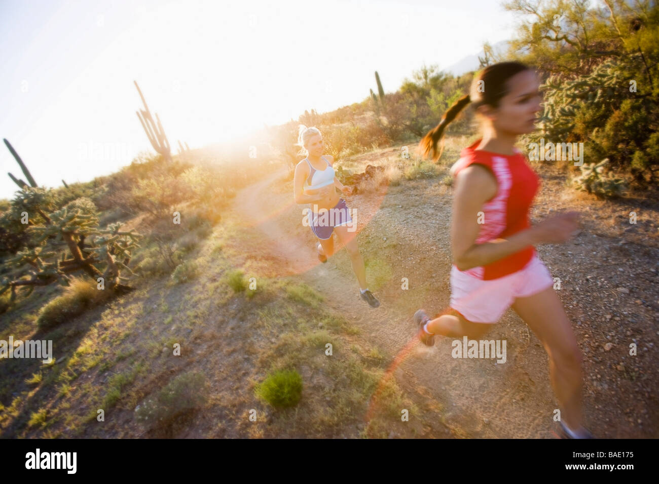 Women Running on Desert Trail, Saguaro National Park, Arizona, USA ...