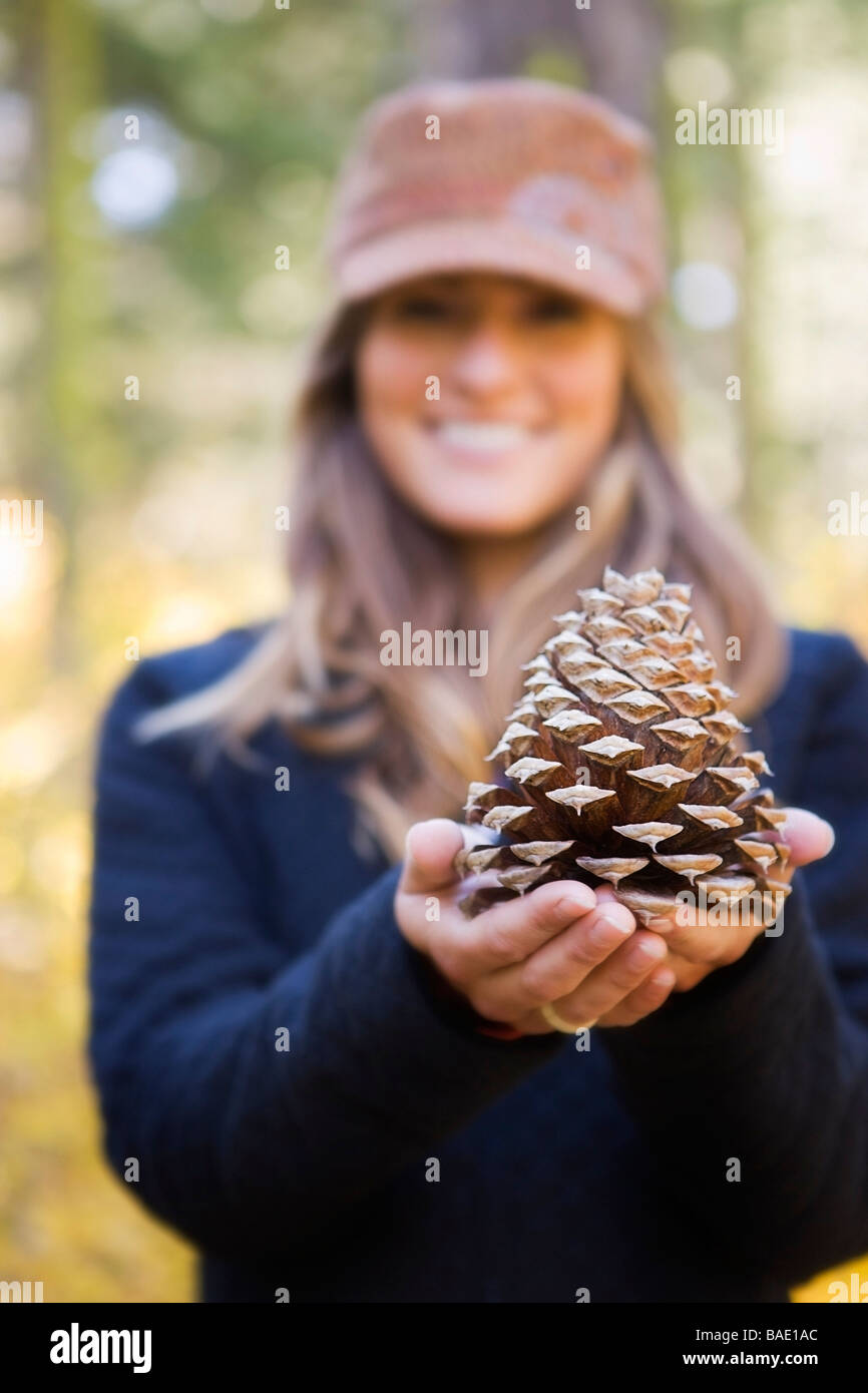 Woman Holding Cone of Ponderosa Pine Stock Photo - Alamy