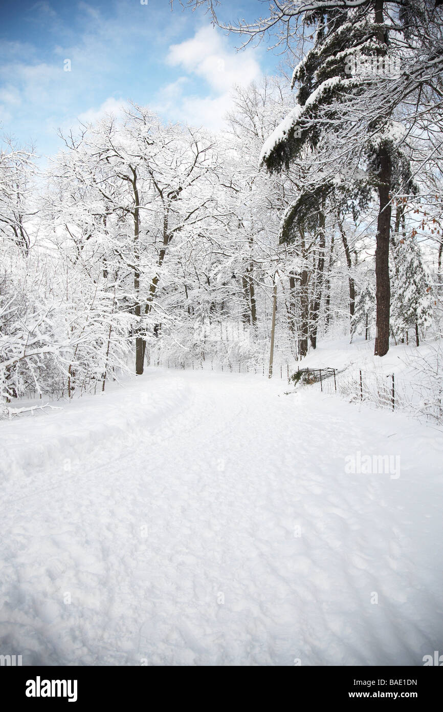 High Pathway High Resolution Stock Photography and Images - Alamy
