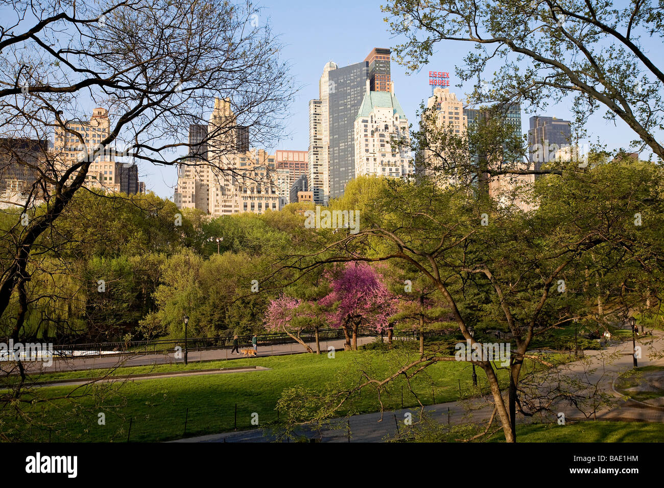 United States, New York, Central park in the Springtime, View on ...