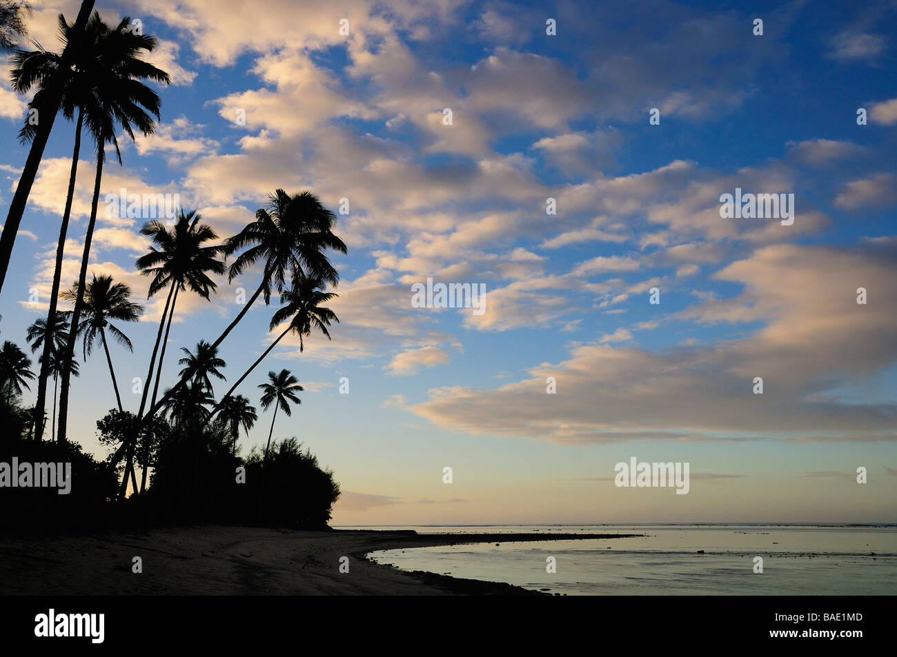 Vaimaanga Beach, Rarotonga, Cook Islands Stock Photo - Alamy