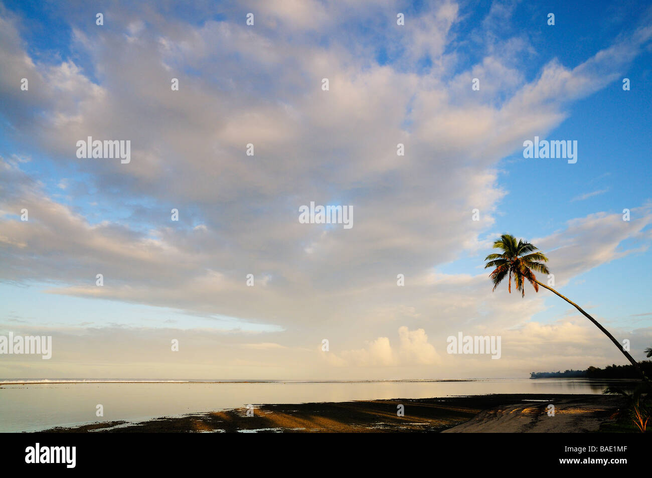 Vaimaanga Beach, Rarotonga, Cook Islands Stock Photo - Alamy