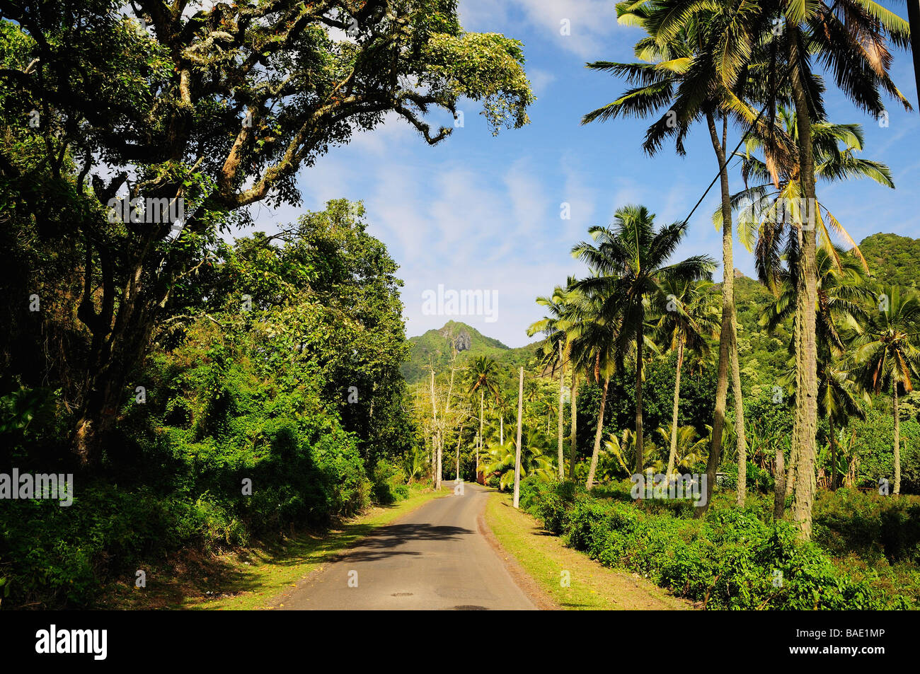 Road to Mountain, Avatiu Valley, Rarotonga, Cook Islands Stock Photo ...